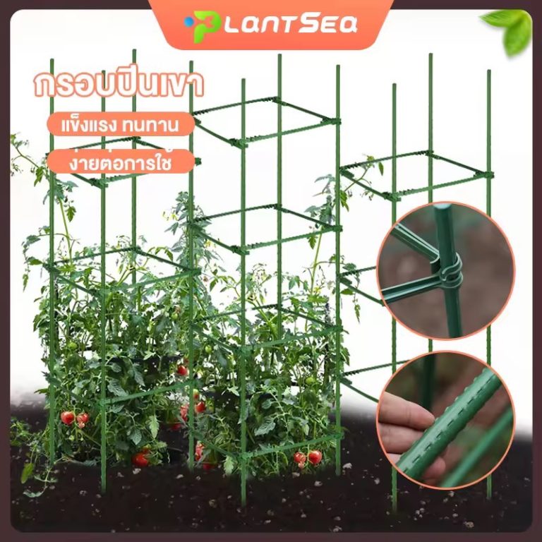 ไม้ค้ำต้นไม้ DIY – DodiShop :: คัดสรรสินค้าราคาโปรพิเศษเพื่อคุณ