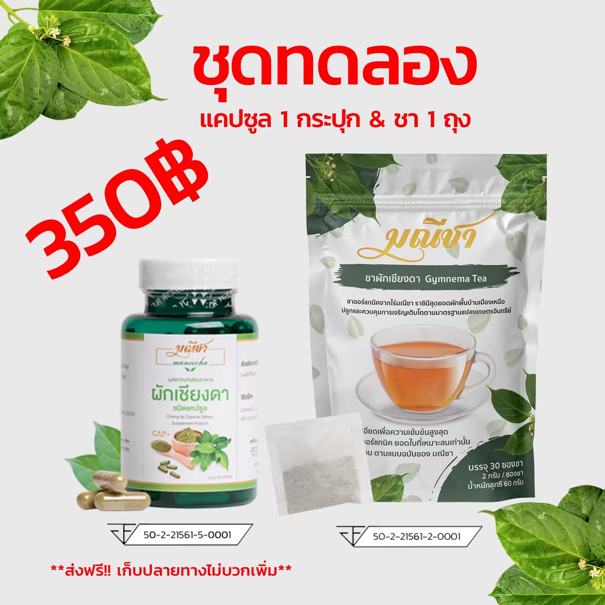 ผักเชียงดาชนิดแคปซูล – DodiShop :: คัดสรรสินค้าราคาโปรพิเศษเพื่อคุณ