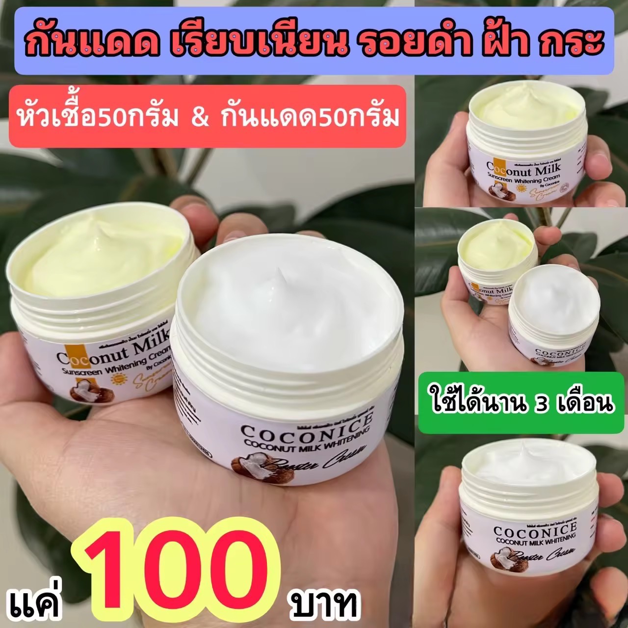 1แถม1 กันแดดน้ำนมมะพร้าว – DodiShop :: คัดสรรสินค้าราคาโปรพิเศษเพื่อคุณ